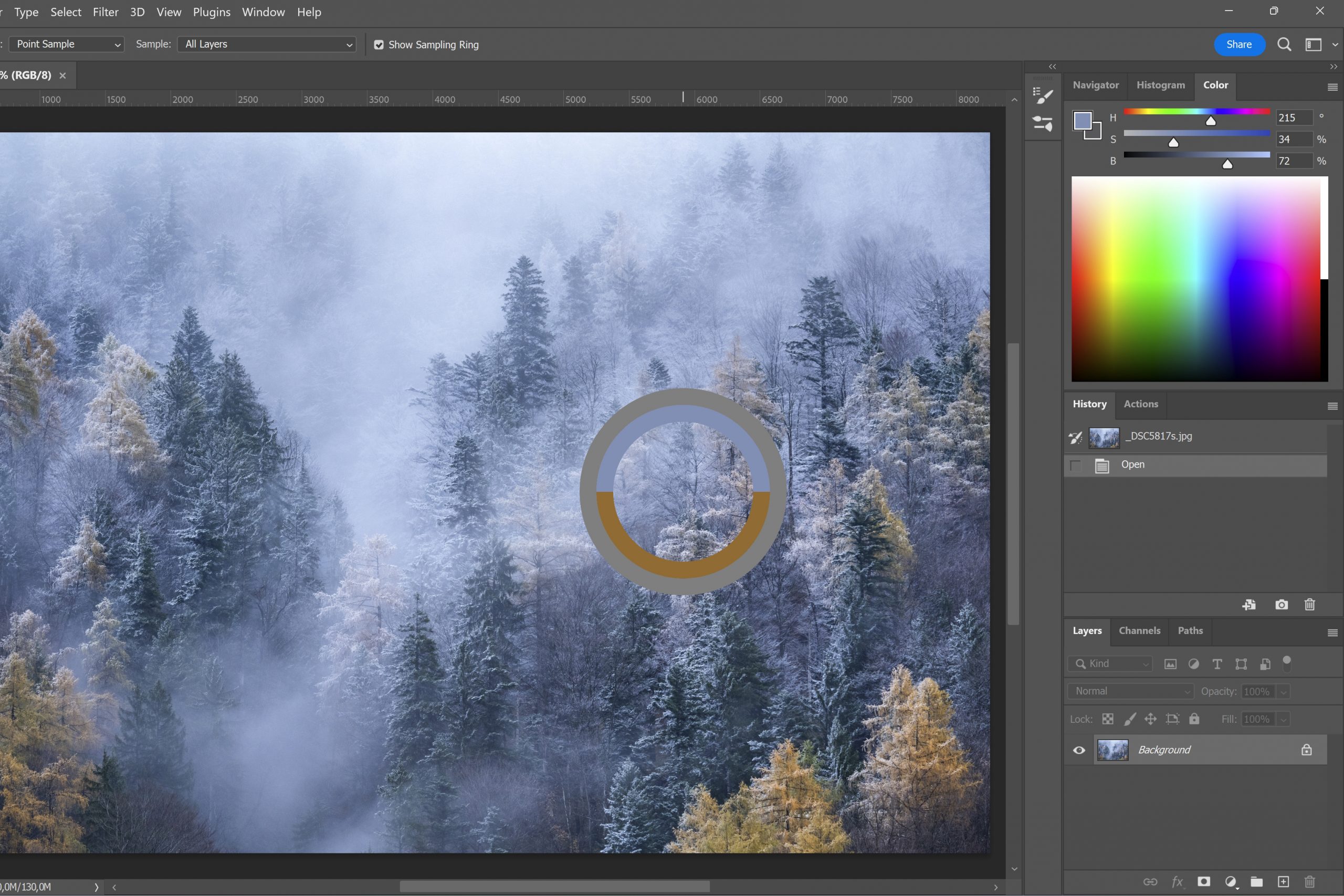 portfolio review online - Kilian Schönberger Photography
