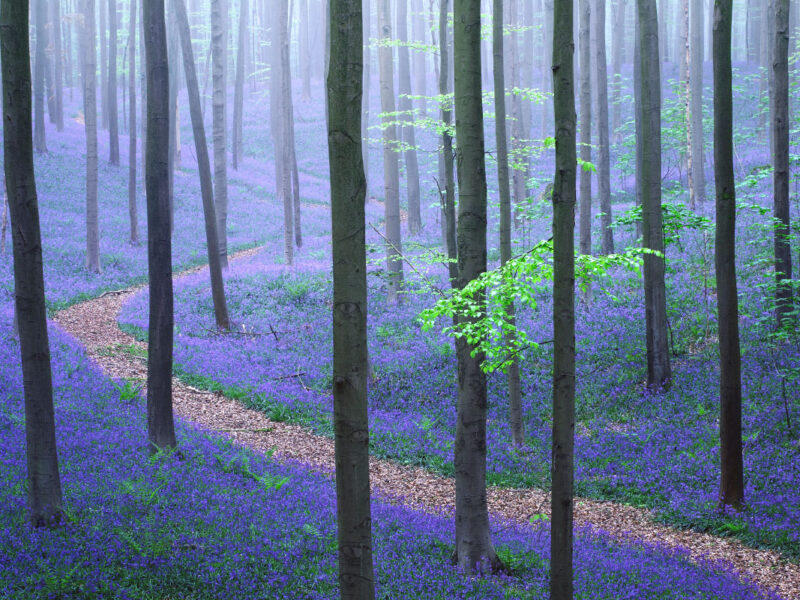 Portfolio - Kilian Schönberger Photography